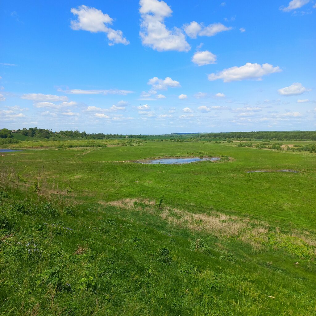 Orman урочище Вышнепенские Ольхи, Belgorodskaya oblastı, foto