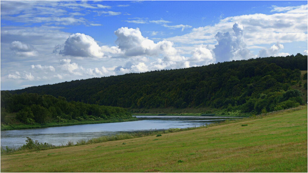 Orman Корсаков лес, Lipetskaya oblastı, foto