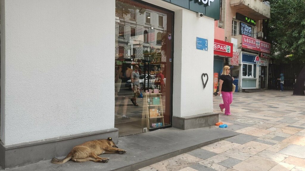 Kozmetik ve parfümeri mağazaları The body shop, Tiflis, foto