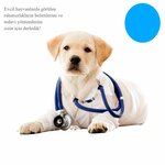 GavGav Petshop & Pet Küaför (İstanbul, Sarıyer, Maslak Mah., Taşyoncası Sok.), evcil hayvan kuaförleri  İstanbul'dan