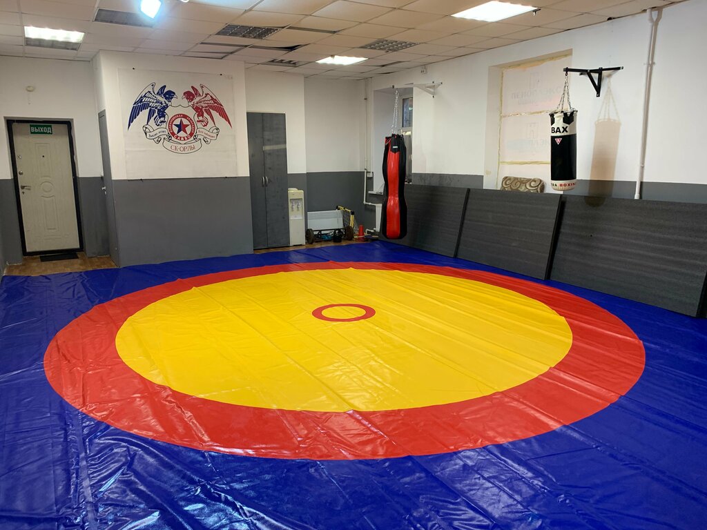 Spor kulüpleri Орлы, Saint‑Petersburg, foto
