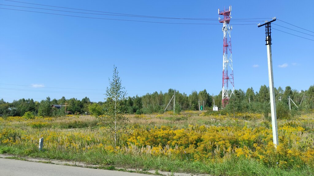 Mühendislik altyapısı Вышка сотовой связи, Nijegorodskaya oblastı, foto