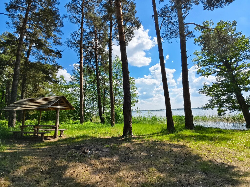 i̇skele Jetty , Vitebskaya oblastı, foto