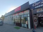 Saffia (Jambıl avenue No:60), çiçekçiler  Taraz'dan