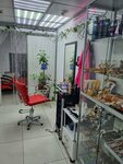 Цирюльня (prospekt Gubkina No:5), kuaförler  Novy Urengoy'dan