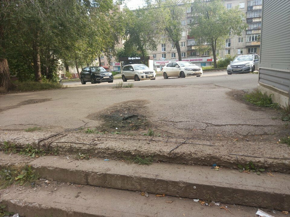 Ev eşyası mağazaları Сезонные места торговли хвойными деревьями, Magnitogorsk, foto