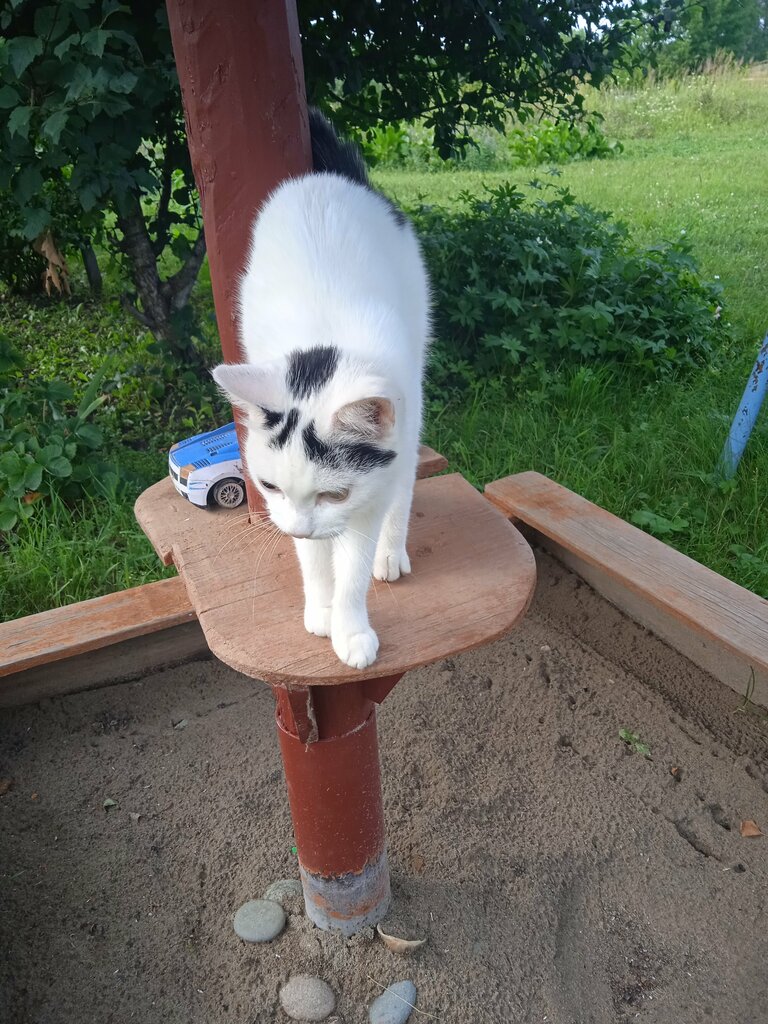 Mini-market Магазин, Novosibirskaya oblastı, foto