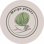 Margoplants (Spartakovskaya Square No:1/7с16), çiçekçiler  Moskova'dan