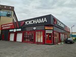 Yokohama (Mádeli Qoja kóshesi No:137Б), jant ve lastikçiler  Çimkent'ten (Şımkent'ten)