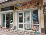 Mi Amor (Karimova Street No:9/1), petshop  Makhachkala'dan
