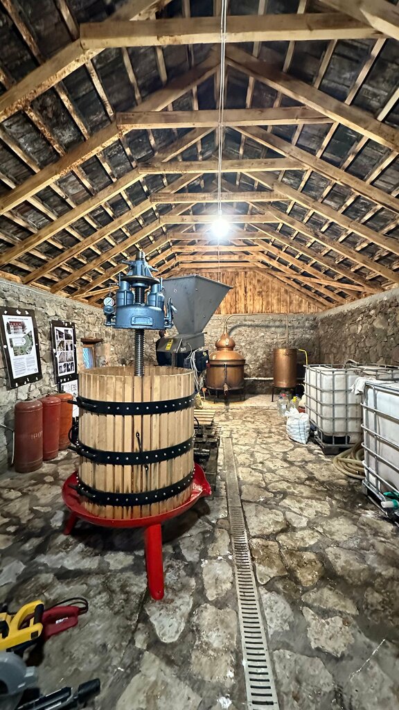 Alkollü ürünlerin üretimi Dilvados, Tavuş, foto