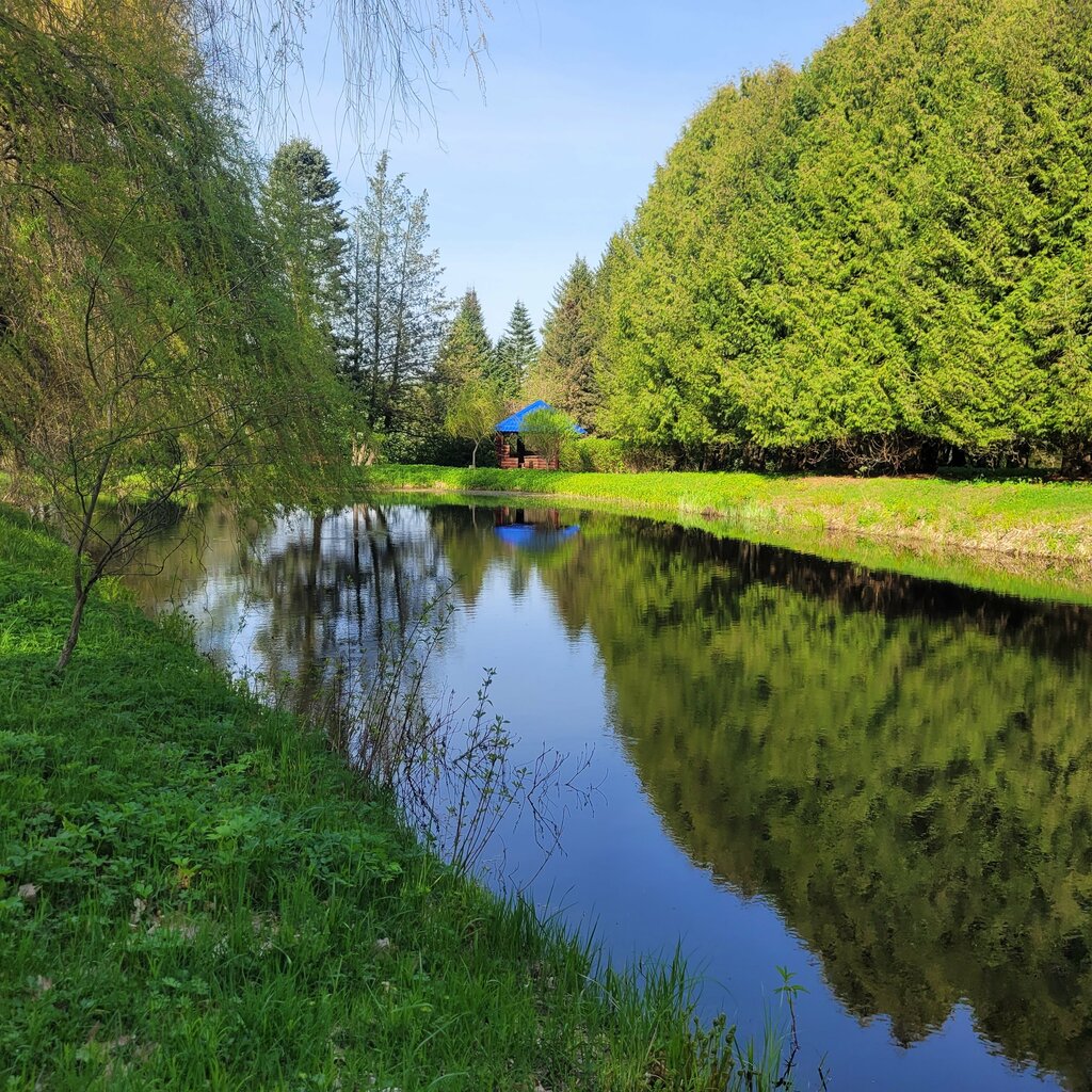 Kültür ve eğlence parkları Дендрологический парк ГЛХУ Верхнедвинский лесхоз, Vitebskaya oblastı, foto