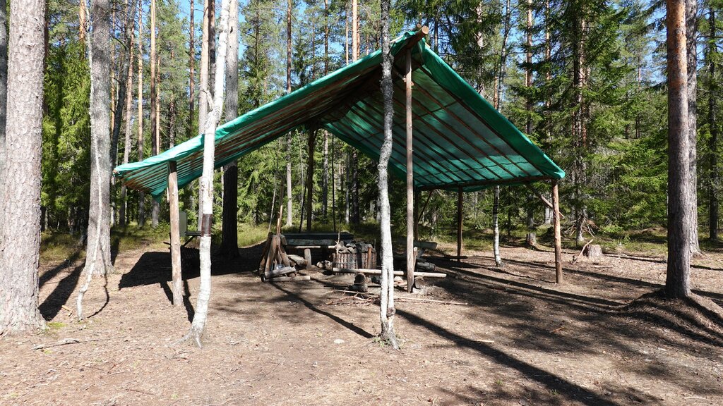 Piknik alanı Место для пикника, Saint‑Petersburg ve Leningradskaya oblastı, foto