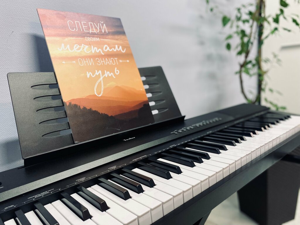 Müzik okulları ve konservatuarlar Maestro, Krasnodar, foto