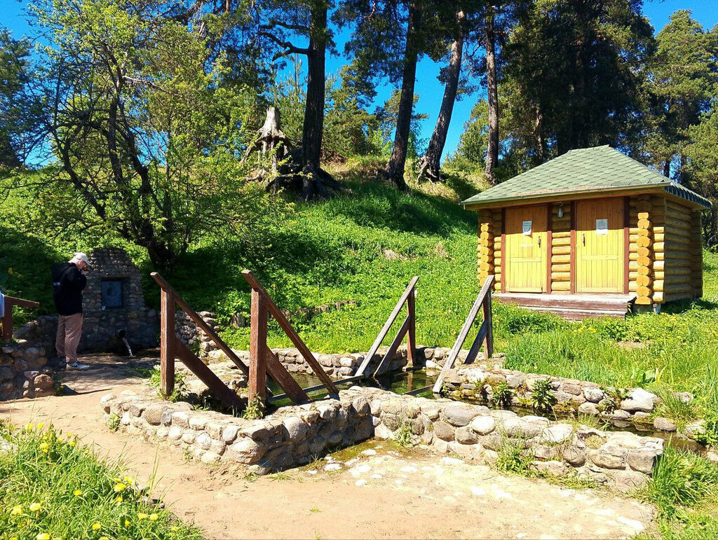 Pınar, çay Святой источник, Tverskaya oblastı, foto
