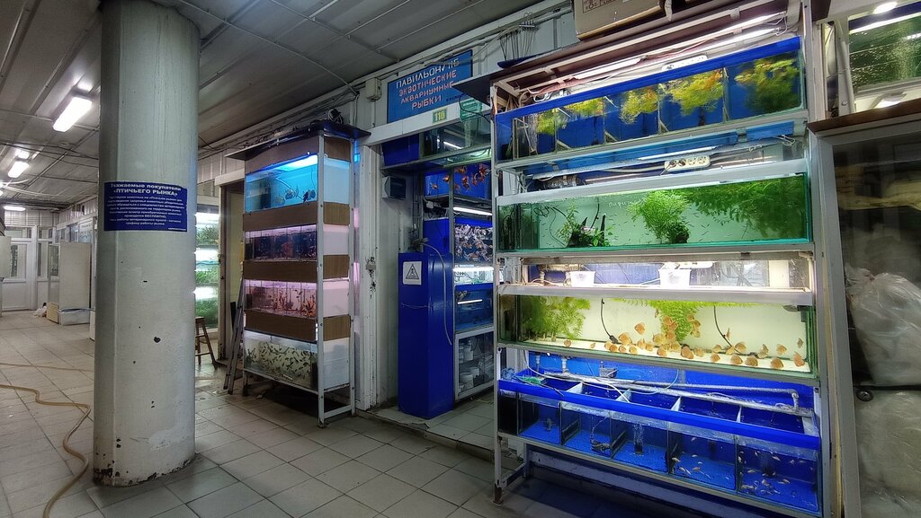 Petshop Arapaima-Style, Moskova, foto