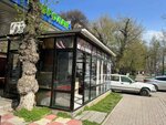 Meat sales point (Iýrıı Gagarın kóshesі No:266/3), kasap, şarküteri  Çimkent'ten (Şımkent'ten)