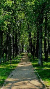 Lipoviy Park (Moscow Region, Podolsk City District, Dubrovitsy Village, Lipoviy Park), kültür ve eğlence parkları  Moskova ve Moskovskaya oblastından