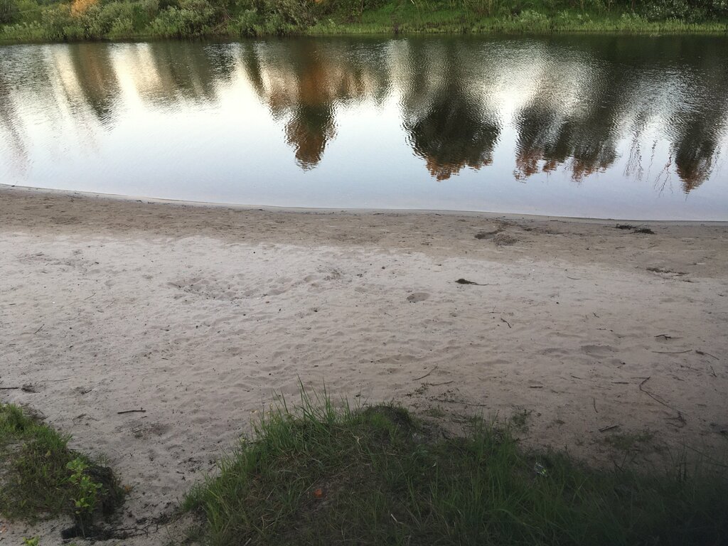 Plaj Beach, Gomelskaya oblastı, foto