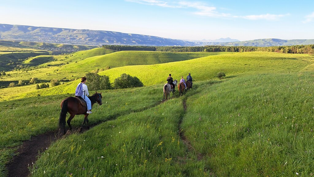 At ve binicilik kulüpleri Конные прогулки у Тимура, Stavropolski krayı, foto