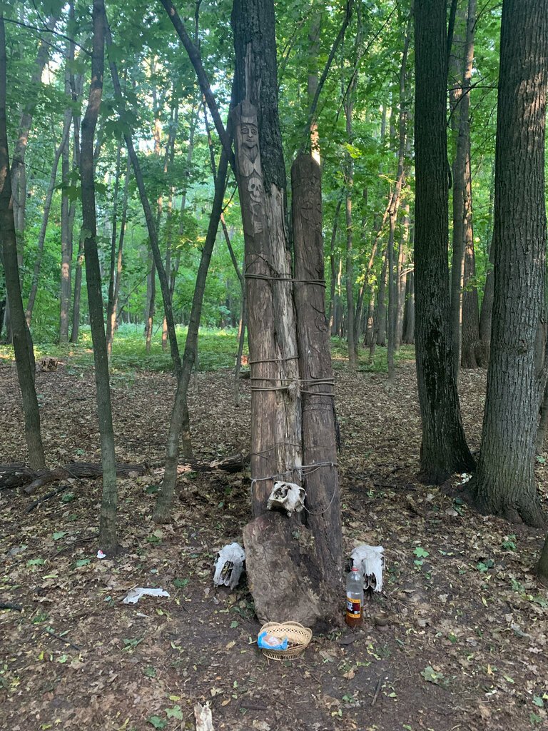 Dini dernekler Капище бога Велеса, Samara, foto