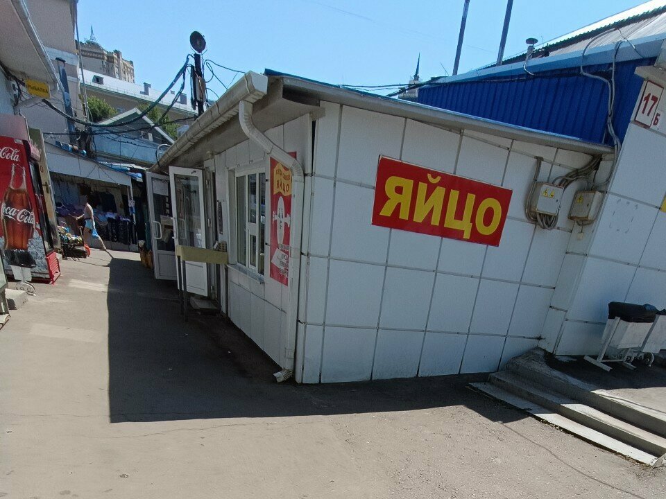 Kanatlı hayvan ürünleri ve yumurta Яйцо, Voronej, foto