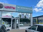 Exotherapy (ulitsa Komarova No:135/16), masaj salonları  Balakovo'dan