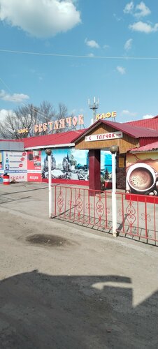 Kafe Светлячок, Samarskaya oblastı, foto