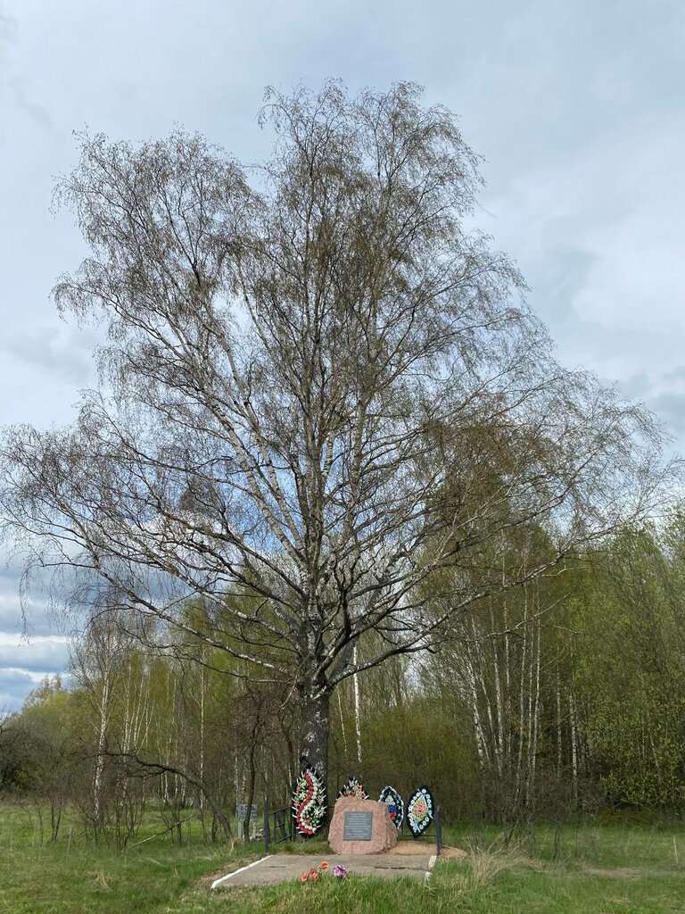 Anıt, heykel Памятный знак лейтенанту НКВД П.П. Соловьеву, Smolenskaya oblastı, foto