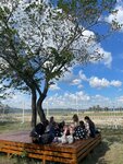 Zerenda park (Sadovaıa kóshesi No:5, village Zerenda), resort oteller, tesisler  Akmola eyaletinden