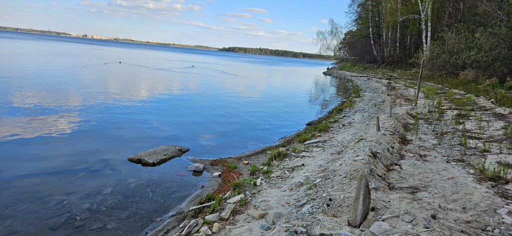 Tatil köyleri Турбаза Урал, Çeliabinskaya oblastı, foto