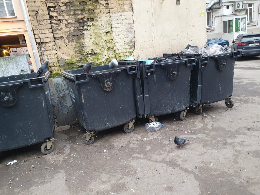 Çöp alanları Trash and garbage disposal area, Saint‑Petersburg, foto