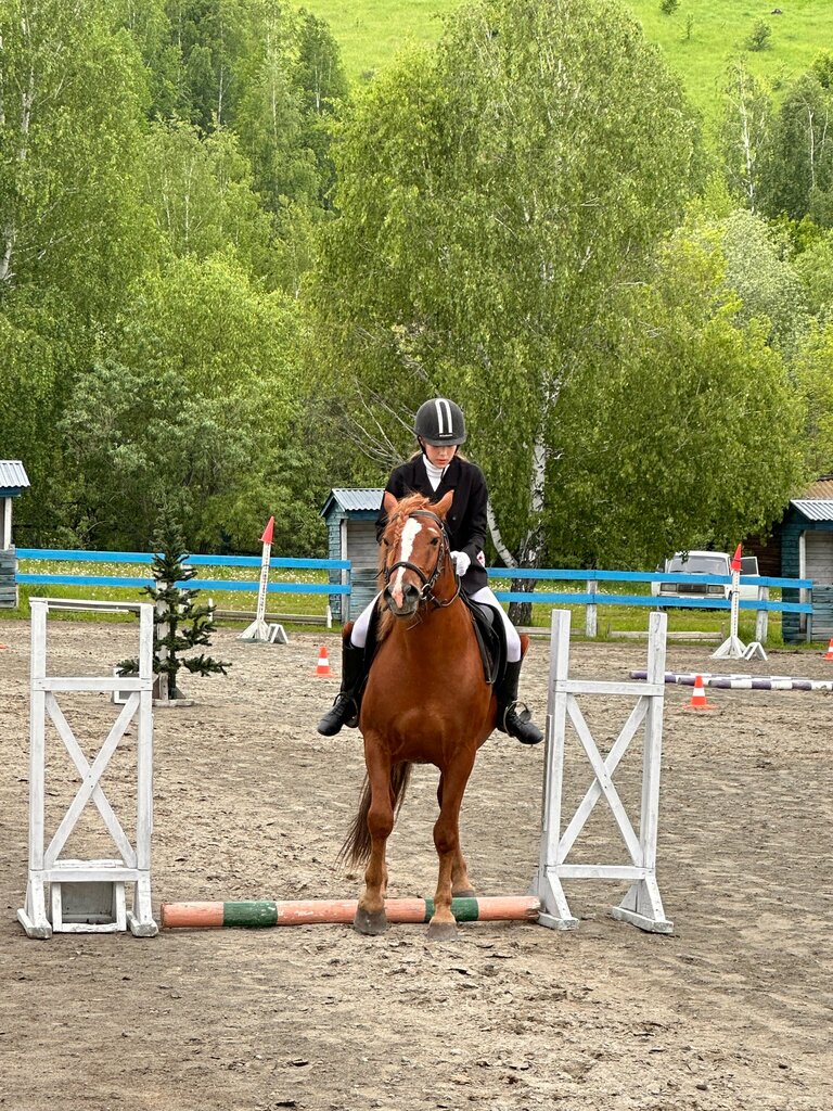 At ve binicilik kulüpleri Детско-юношеская Конноспортивная школа имени А. И. Ялбакова, Gorno‑Altaysk, foto