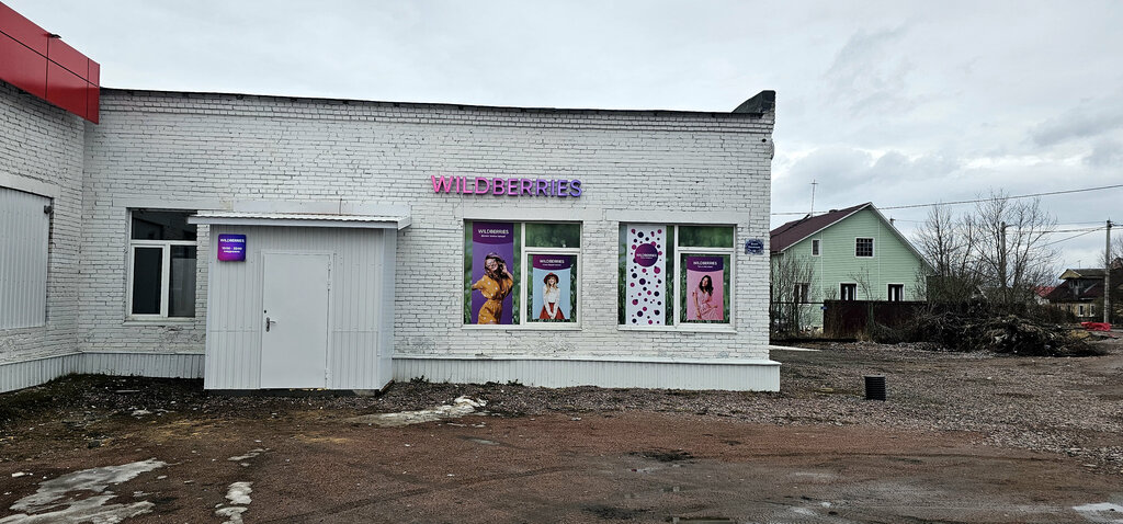 Teslimat noktası Wildberries, Saint‑Petersburg ve Leningradskaya oblastı, foto