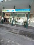 Freshsul (Luanda Province, Municipality of Luanda, Cruzeiro), balık ve deniz ürünleri  Loanda'dan