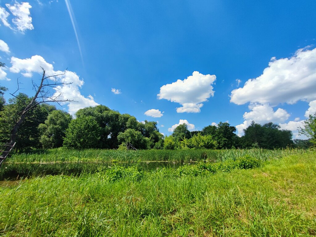 Plaj Пляж, Voronejskaya oblastı, foto