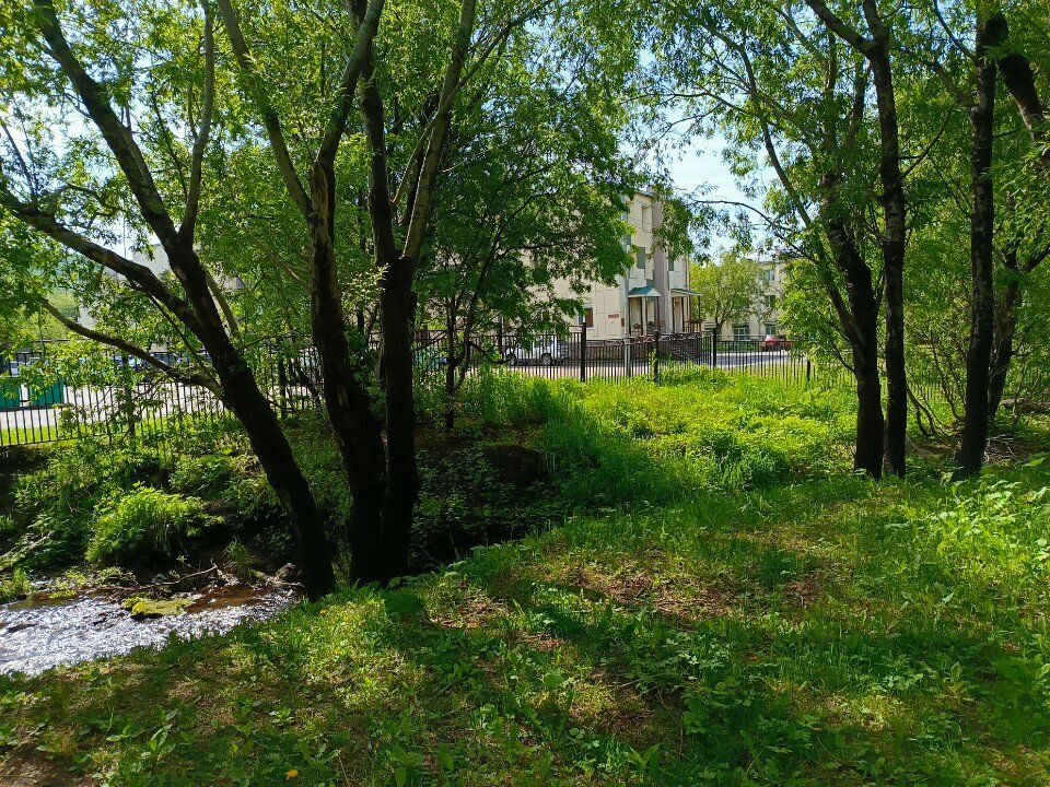 Doğumevleri Rodilny dom № 2, Petropavlovsk, foto