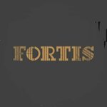 Fortis (Moskovskaya Street No:102В), kapılar  Kirov'dan