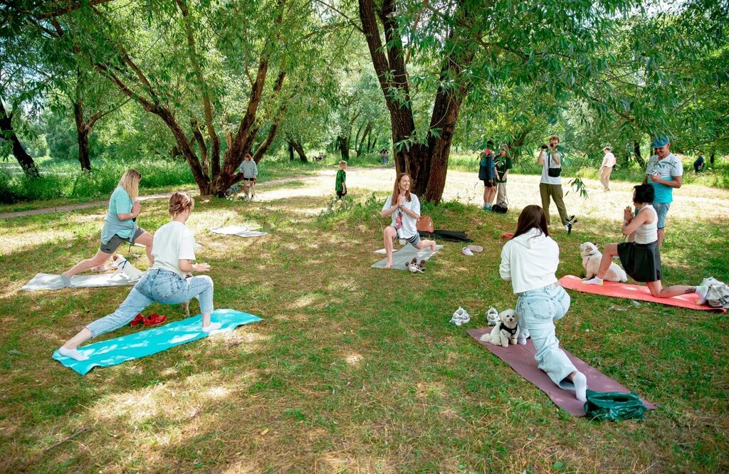 Yoga stüdyosu Зебра, Tver, foto