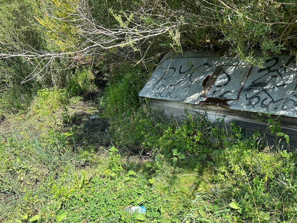 Pınar, çay Родник Таратинский, Kalmukya, foto