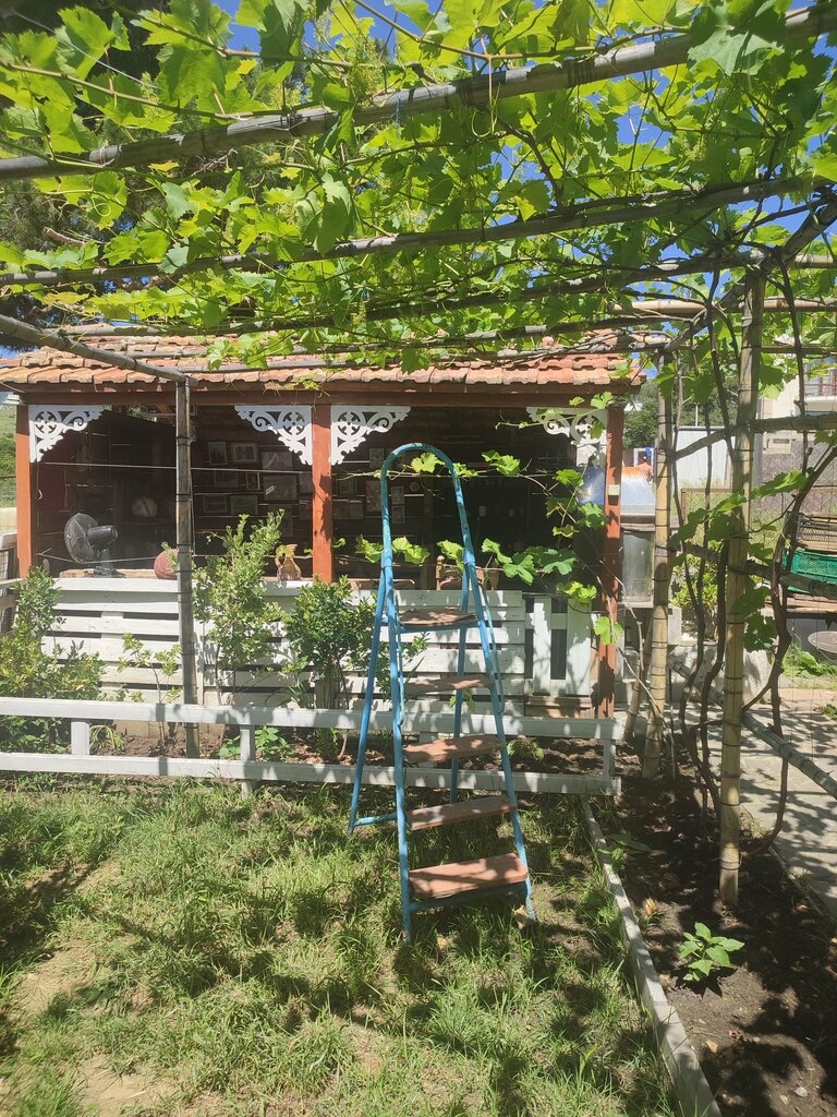 Seyahat acenteleri Арома Тур, Tiflis, foto