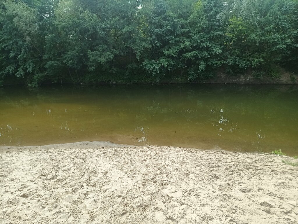 Plaj Пляж, Samarskaya oblastı, foto