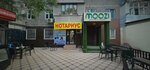 Notary Eserbaeva G.R. (Túrkіstan kóshesі No:2/3), noterler  Çimkent'ten (Şımkent'ten)