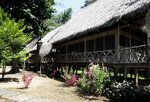 Jungle Wolf Expeditions (Departamento de Loreto, Provincia de Maynas, Iquitos), seyahat acenteleri  Iquitos'tan