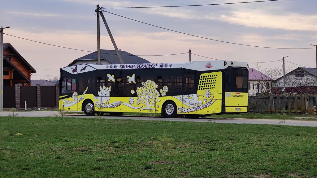 Toplu taşıma durağı Pasiolak Kirawski, Vitebskaya oblastı, foto