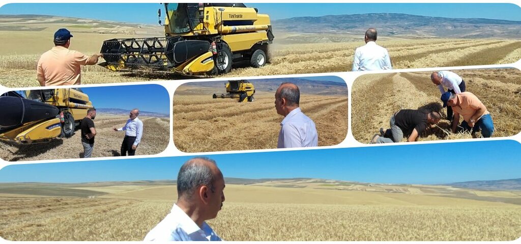 Devlet kurumları ve bakanlıklar Tarım İl Müdürlüğü, Çankırı, foto