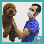 VetSinaps Veteriner Muayenehanesi (Bolu, Bolu Merkez, Beşkavaklar Mah., Necdet Gören Cad., 18C), veteriner klinikleri  Bolu'dan