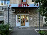 Цветы (Shelkovichnaya ulitsa No:155/161), çiçekçiler  Saratov'dan