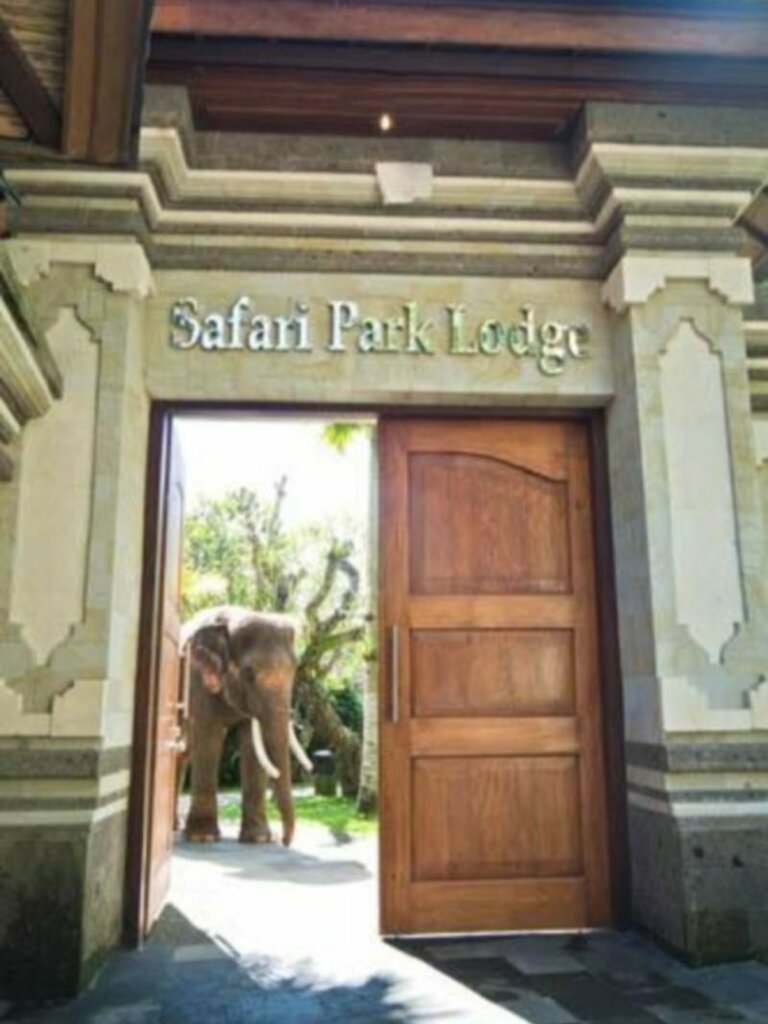 Otel Mason Elephant Lodge, Bali, foto
