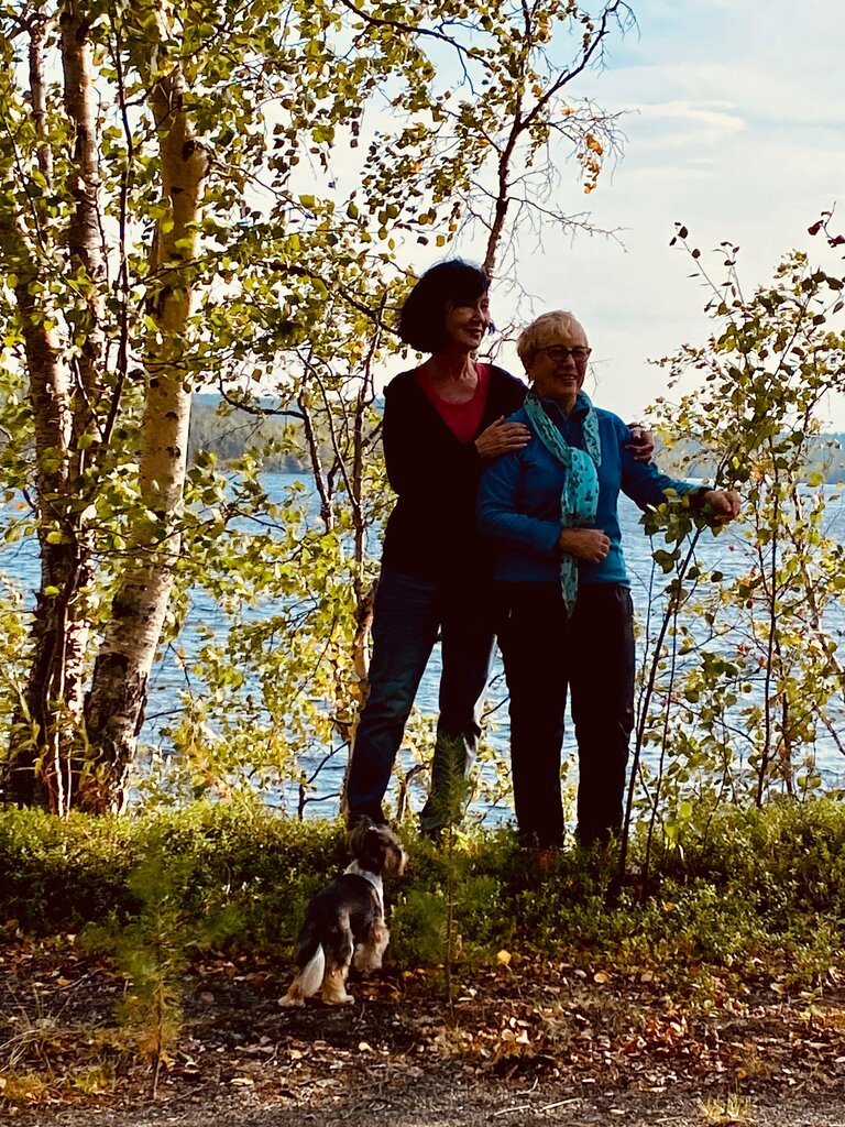 Elektrik santrali Борисоглебская ГЭС, Murmanskaya oblastı, foto